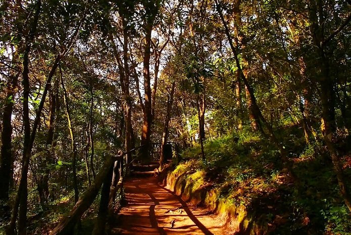 Parque Ecológico Senderos De Alux | Imperio Chapin